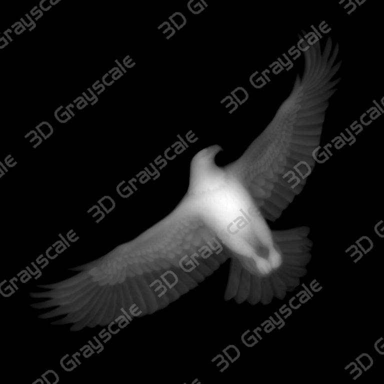 Bald Eagle Height Map – 3D Grayscale
