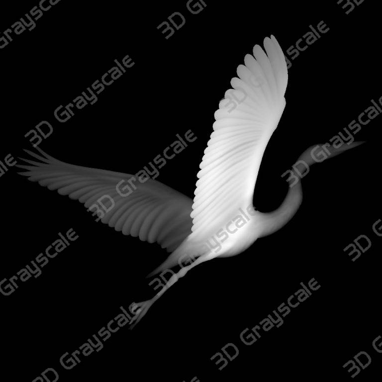 Animals – 3D Grayscale