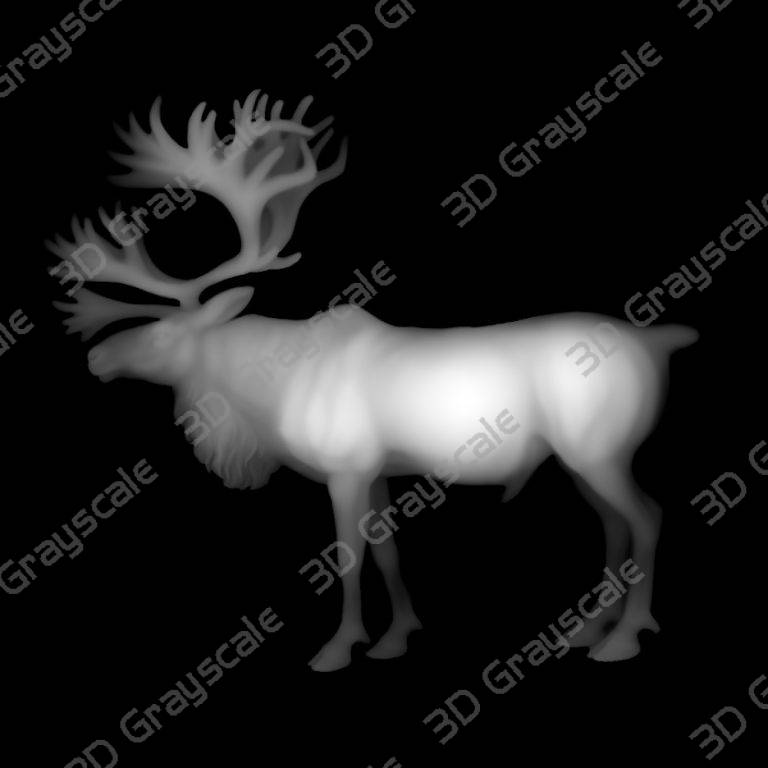 Animals – 3D Grayscale
