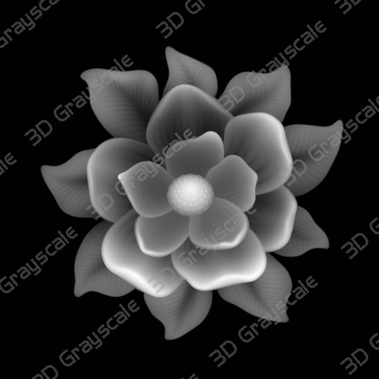 Plants & Trees – 3D Grayscale