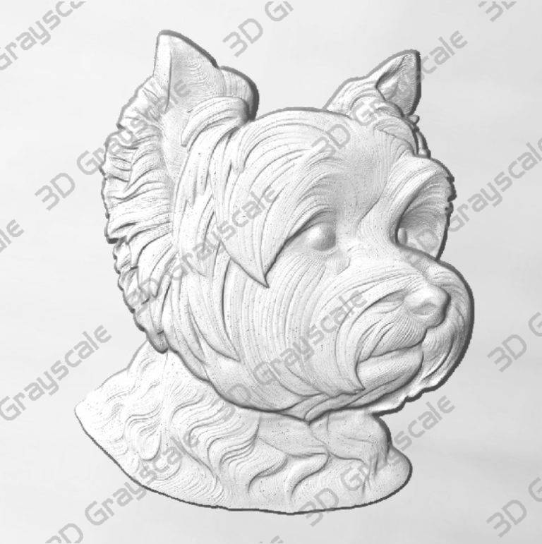 Yorkie Dog Head (Yorkshire Terrier) – 3D Grayscale